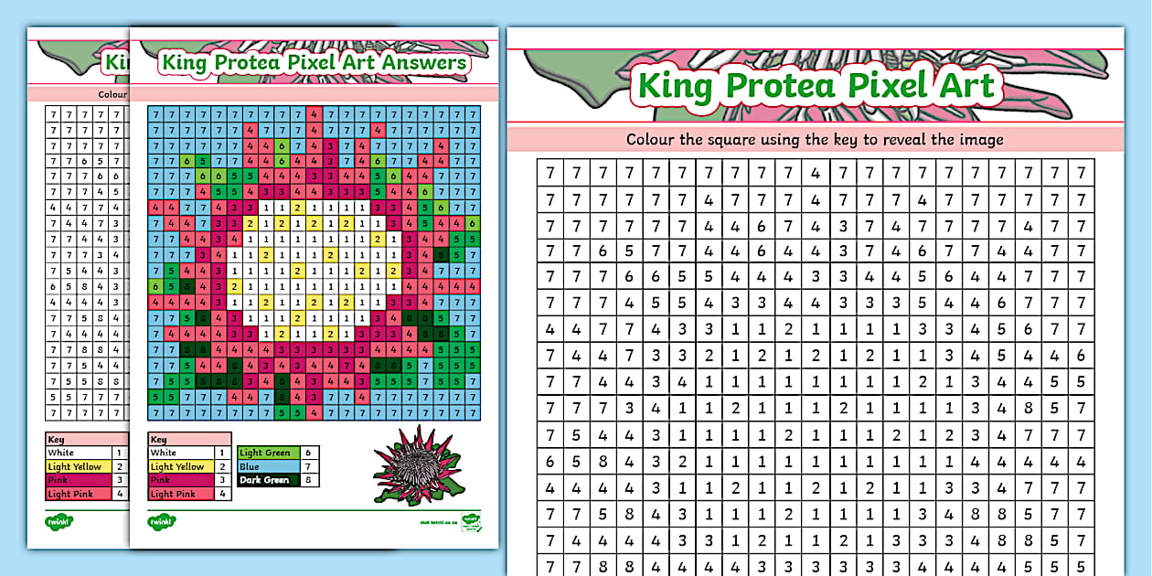 Foundation Phase - Life Skills Creative Arts - King Protea Pixel Art