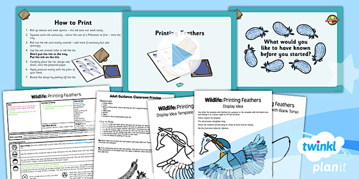 Art: Wildlife: Printing Feathers UKS2 Lesson Pack 3 - Twinkl