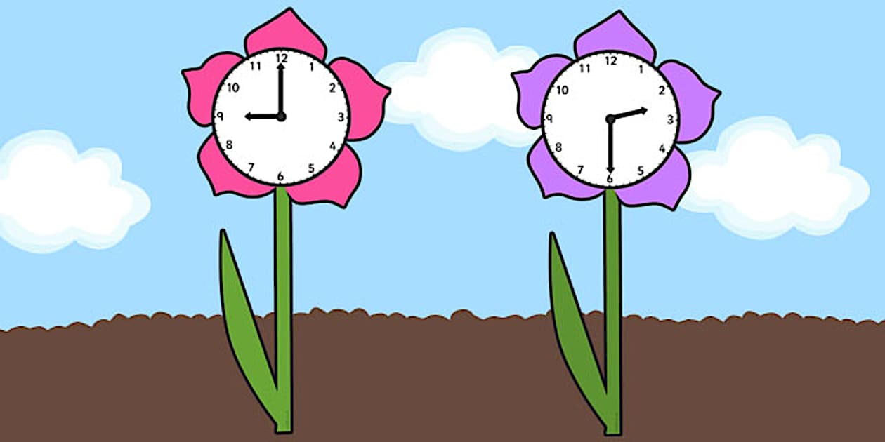 Clock Faces on Flowers - Twinkl