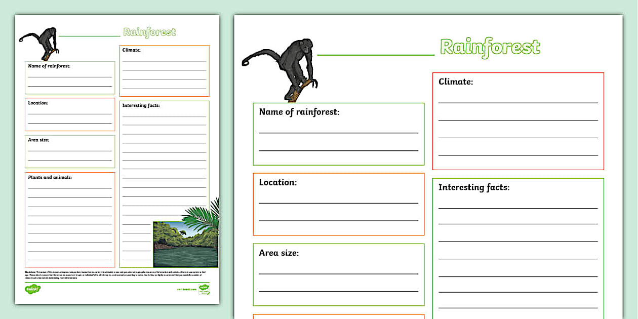 Rainforest Fact File Template - Twinkl
