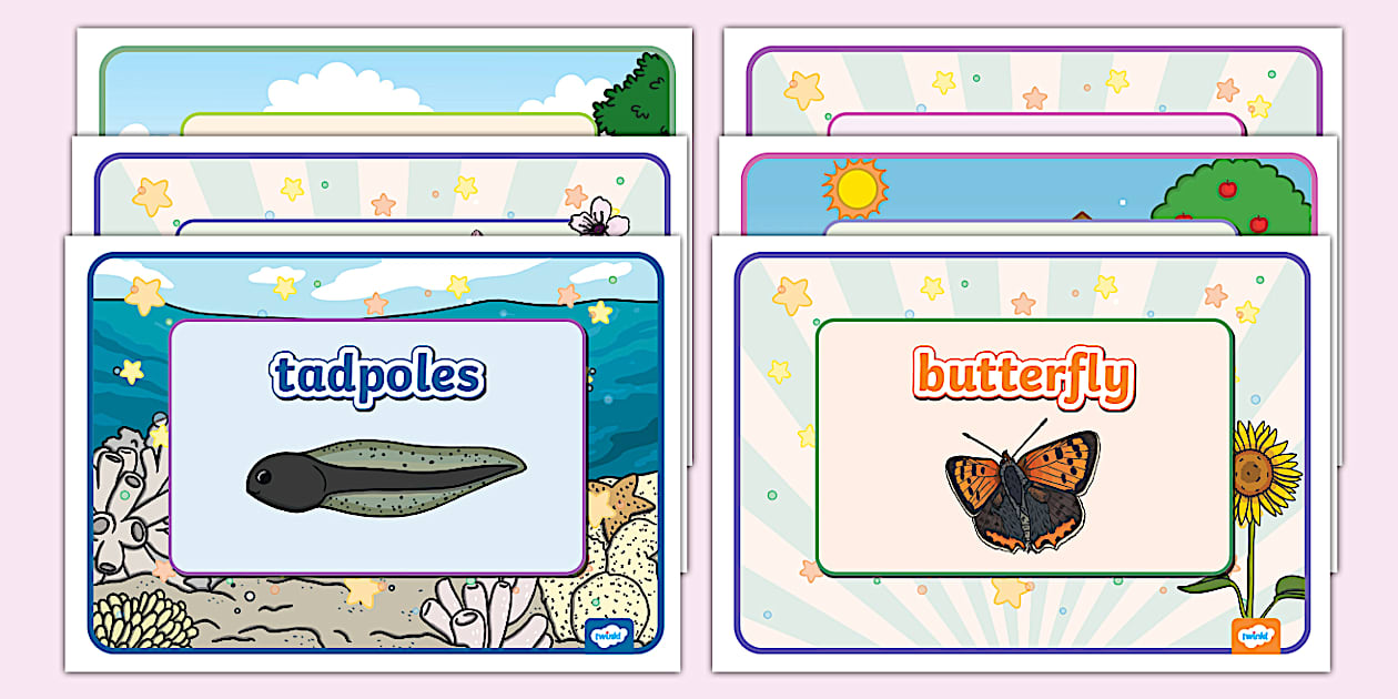 Spring Words Display Posters - Twinkl Display - Twinkl