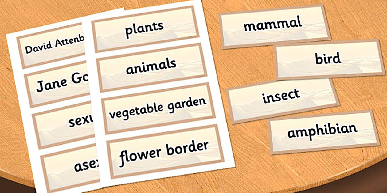 Year 5 Living Things their Habitats Scientific Vocabulary Cards