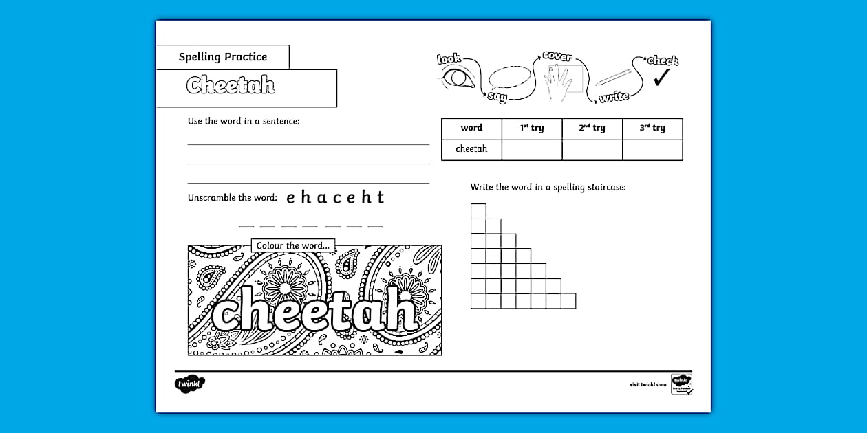 Cheetah Spelling Practice Worksheet (teacher made) - Twinkl