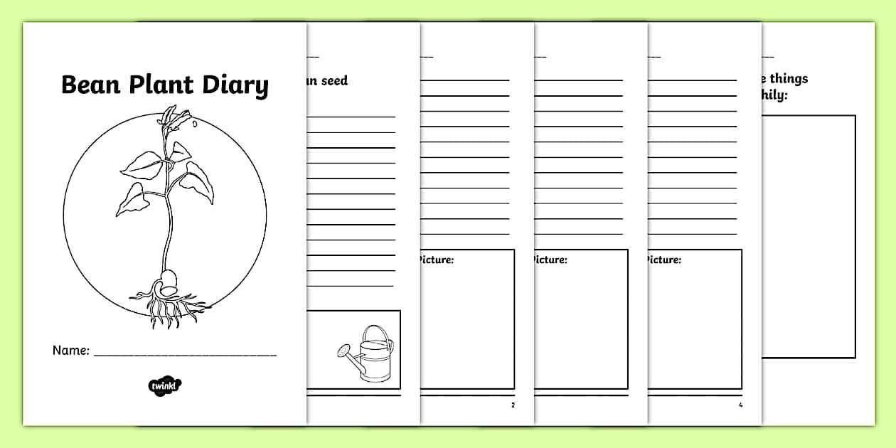 Bean Plant Diary Writing Frames (teacher made) - Twinkl