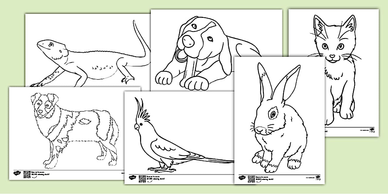 Pets Colouring Sheets (teacher made) - Twinkl