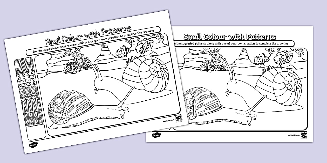 * NEW * Snail Colour with Patterns Activity (teacher made)