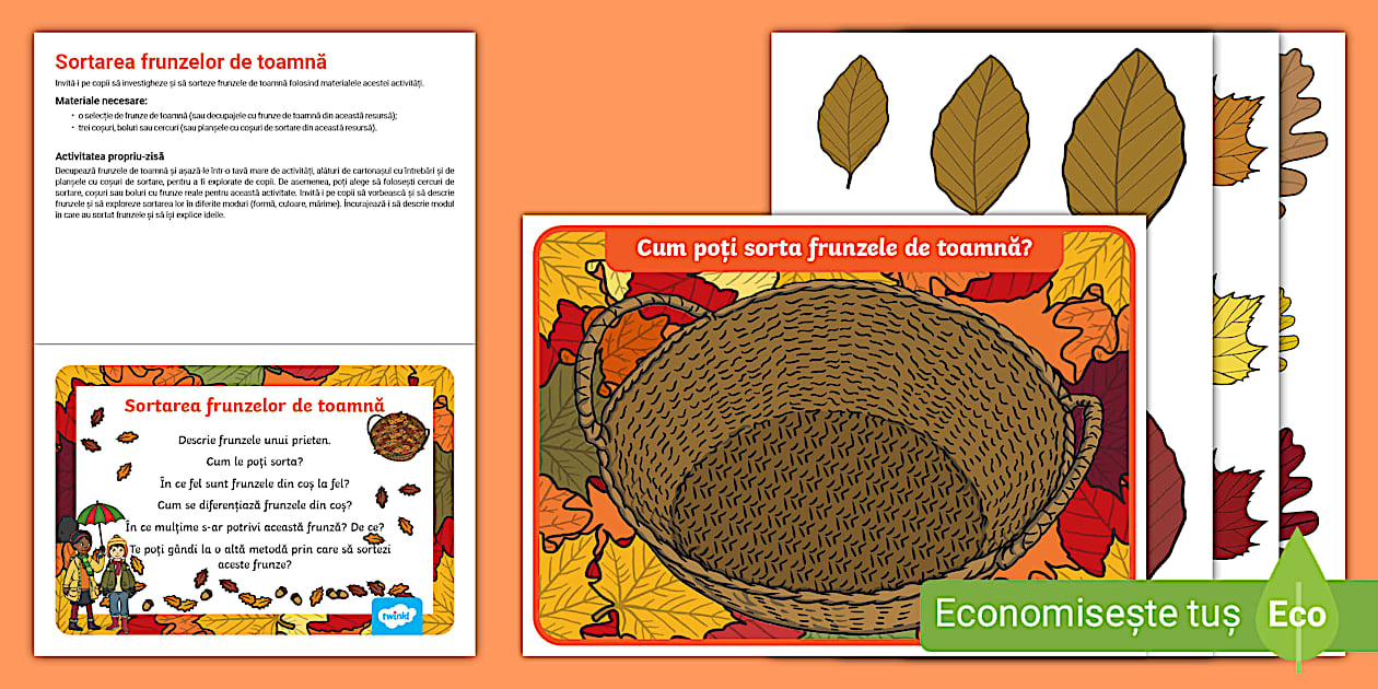 Coșul cu frunze – Activitate de sortare