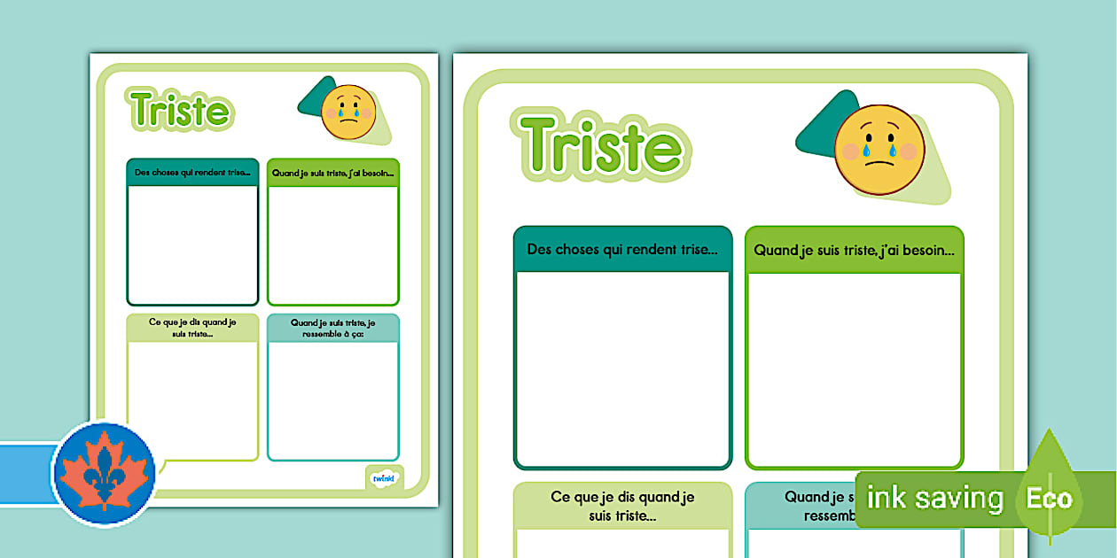 Sad Chart French (teacher made) - Twinkl