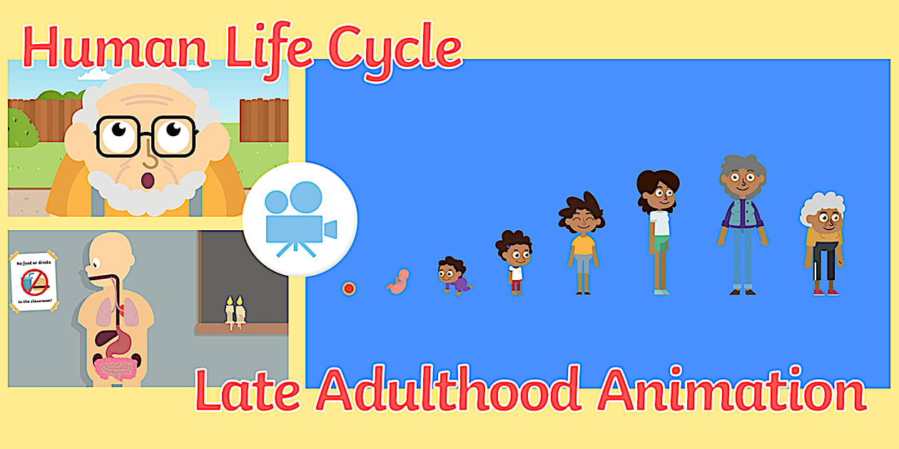 Human Life Cycle: KS2 Late Adulthood Animation | Twinkl