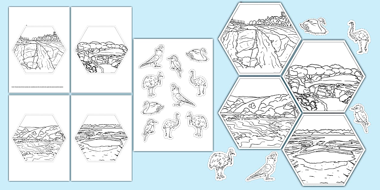 Birds of Australia Hexagon Display Colouring Activity