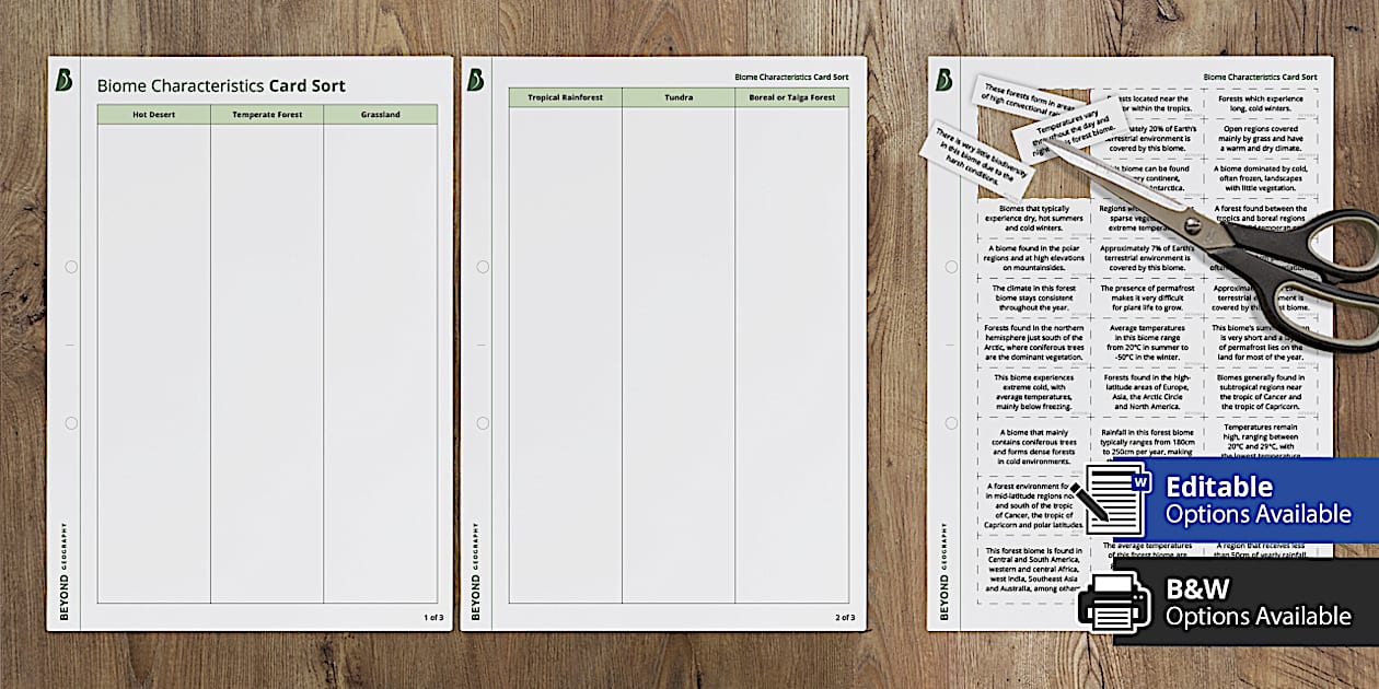 Types of Biomes Activity | Environments | Beyond Geography