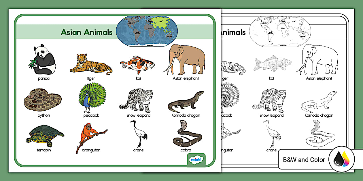 Asian Animals Word Mat (teacher made) - Twinkl