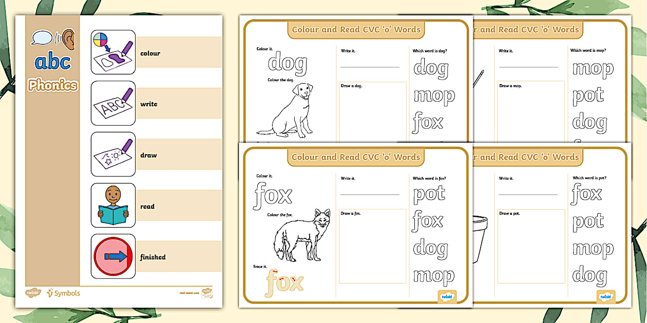 SEND Small Steps CVC 'o' Words Colour, Write and Read