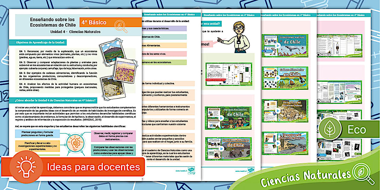 Enseñando sobre los Ecosistemas en 4º Unidad 4 Ciencias