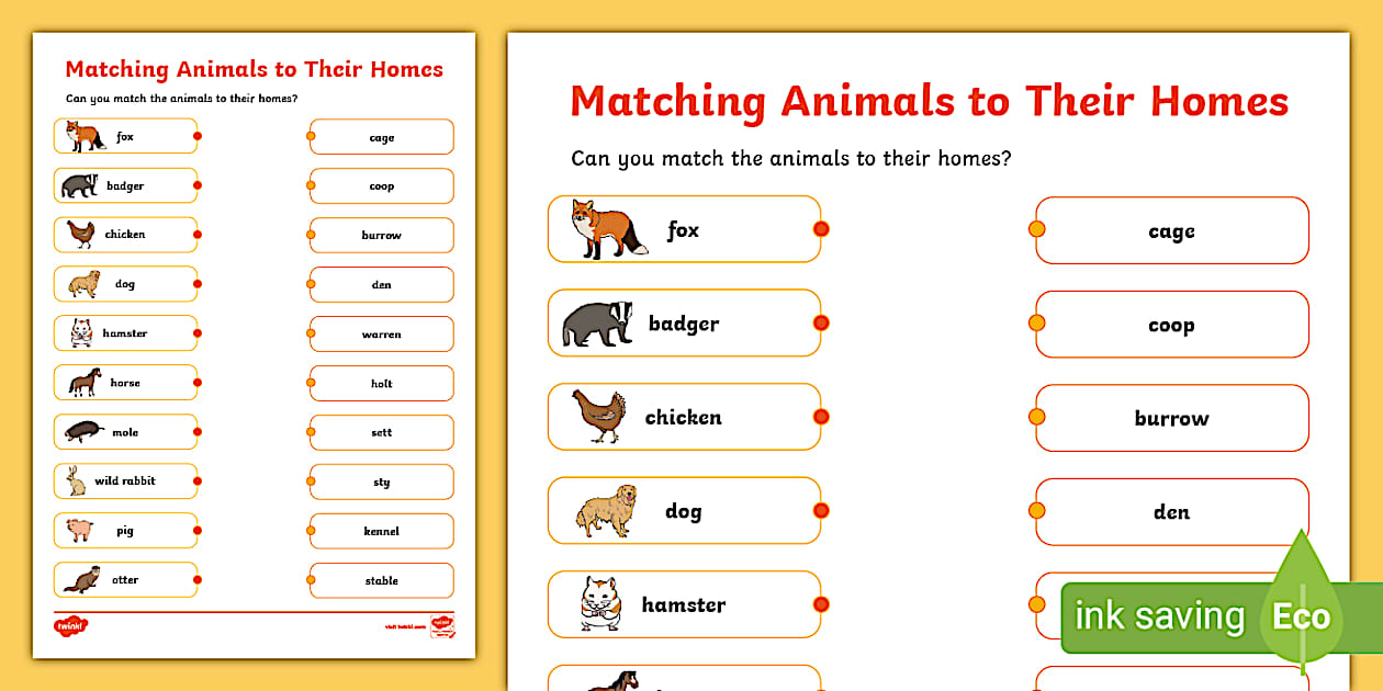Matching Animals to Their Homes Activity Sheet - Twinkl