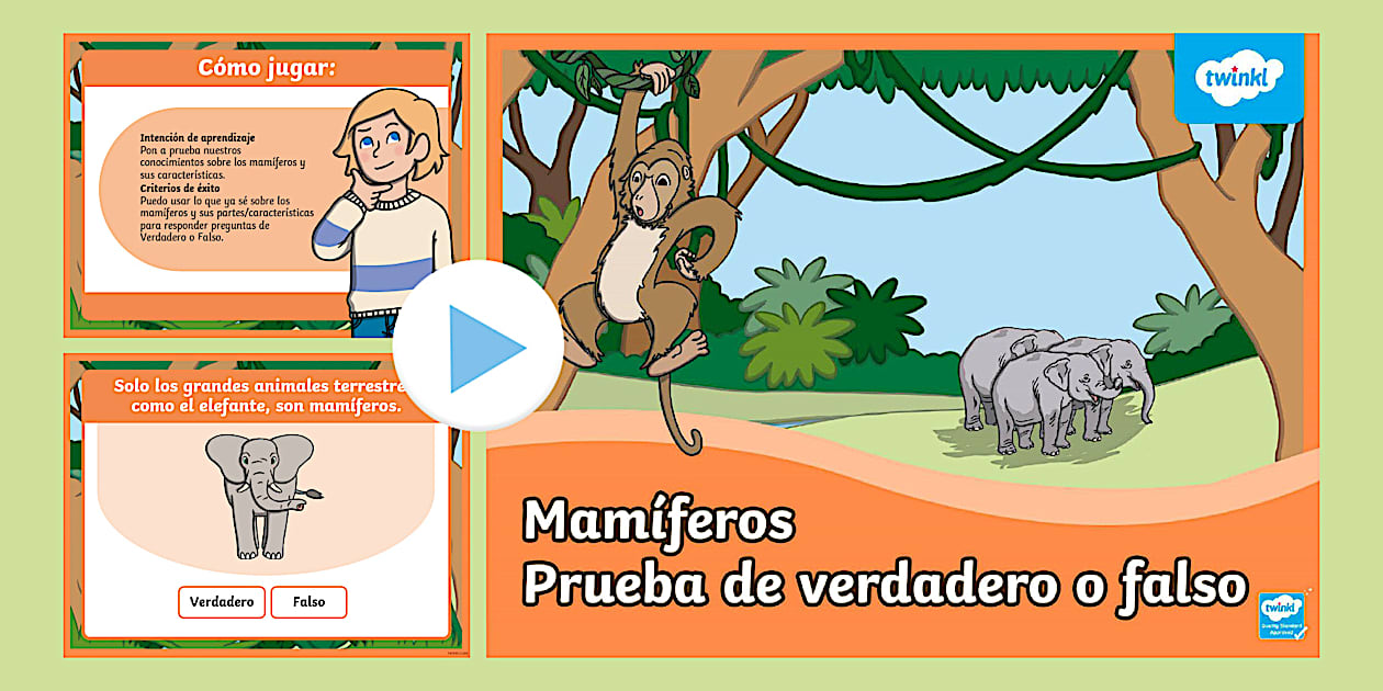 PowerPoint: Los mamíferos Verdadero o falso | Twinkl