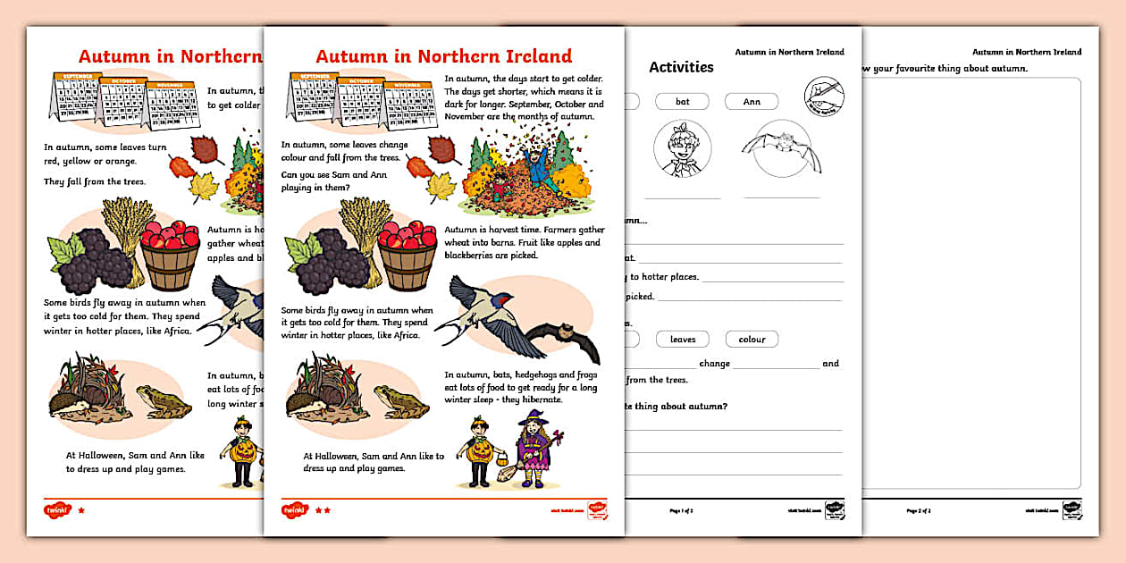 Autumn Northern Ireland Differentiated Foundation Comprehension