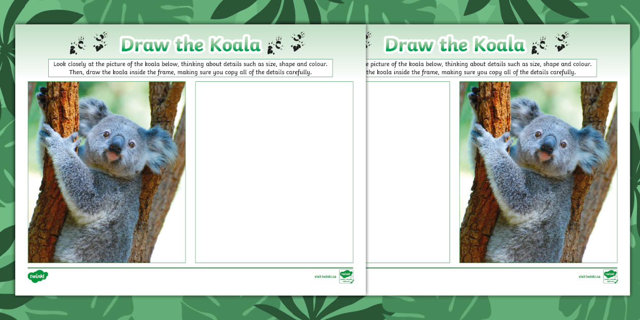 * NEW * Draw the Koala Worksheet - Twinkl Canada - Twinkl