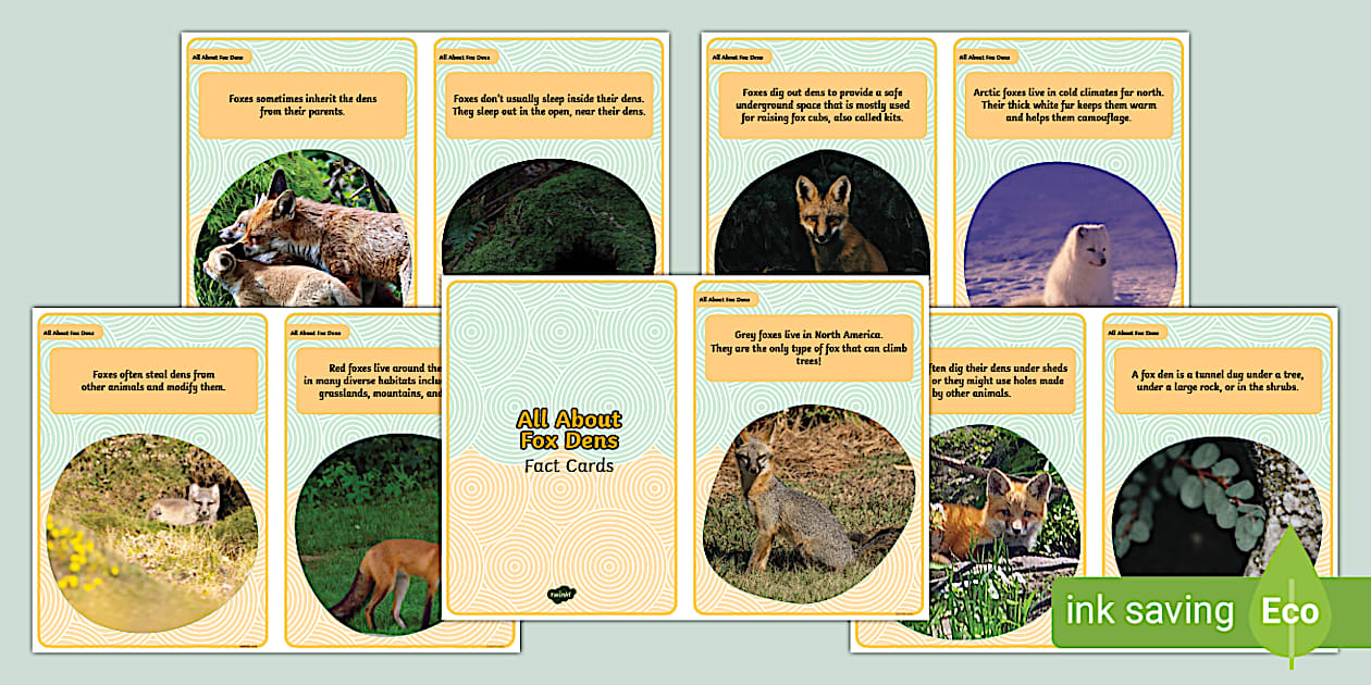 All About Fox Dens Fact Cards