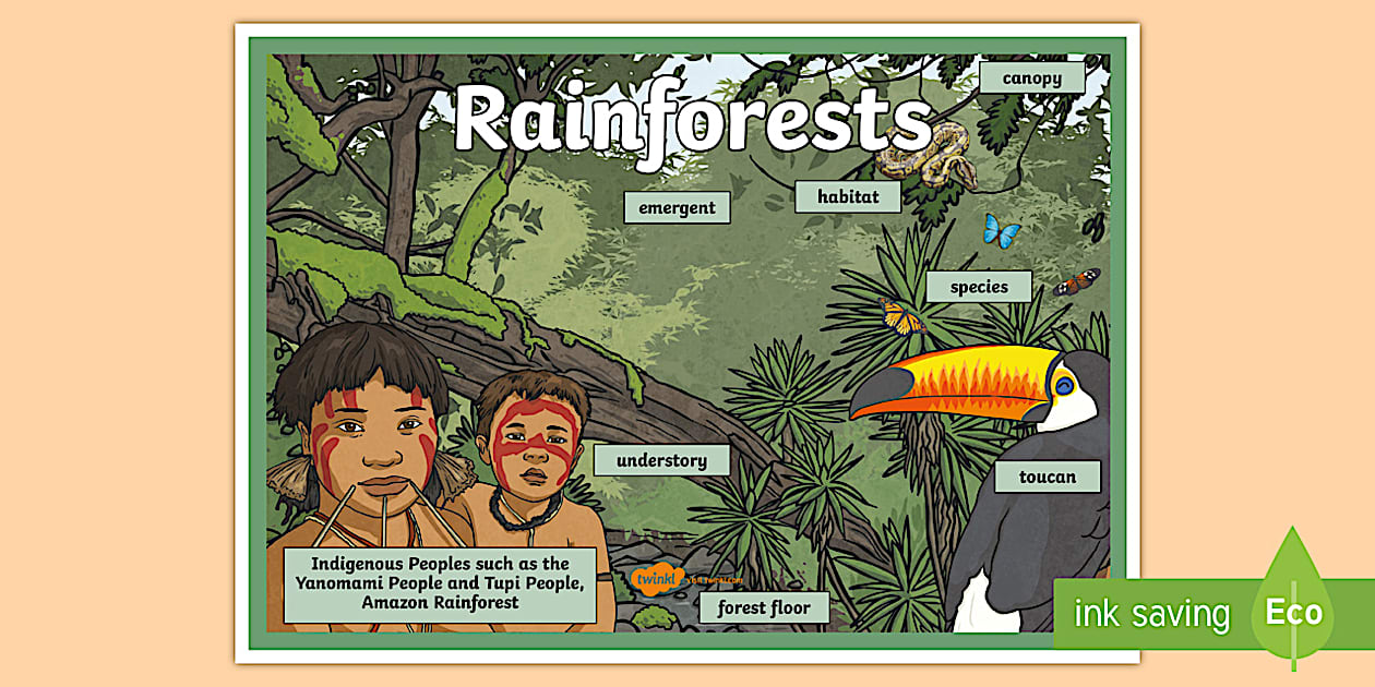 * NEW * KS2 Rainforests Display Poster - PlanIt - Geography Year 3