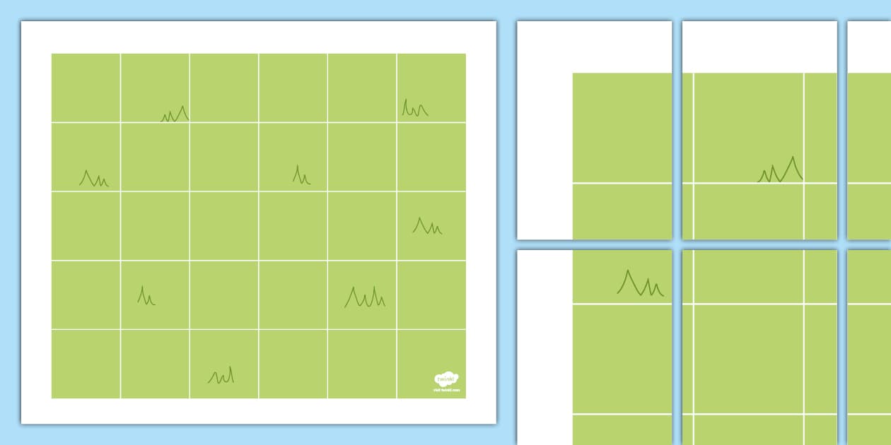 Empty Field Mat (Compatible with Bee-Bot) (teacher made)