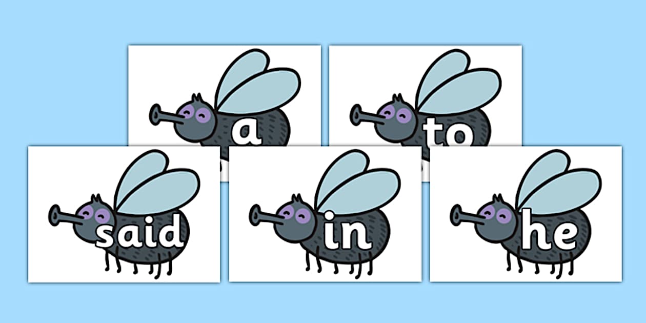 100 High Frequency Words on Flies