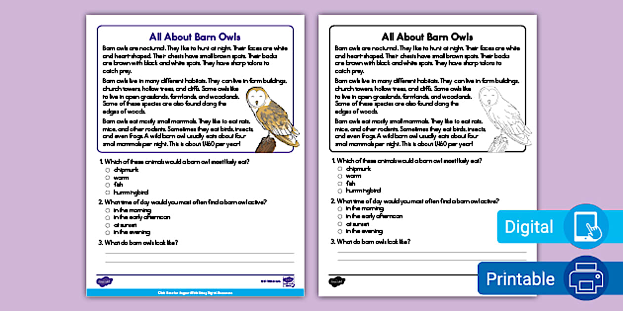 Second Grade All About Barn Owls Reading Passage Comprehension Worksheet