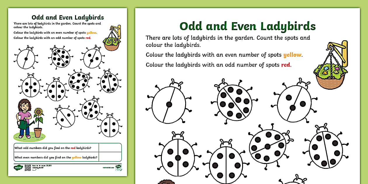 Editable Odd and Even Numbers Ladybirds Colouring Worksheet
