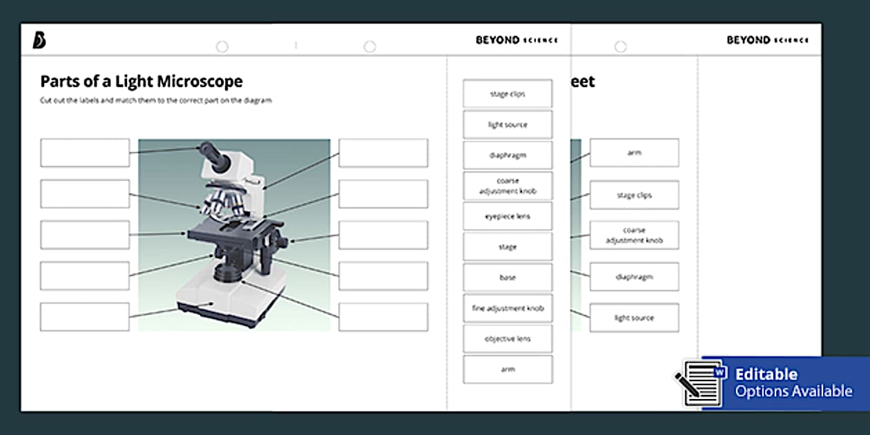 Parts of a Light Microscope Cut and Stick Worksheet - Twinkl