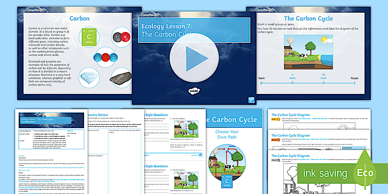 AQA GCSE Ecology: The Carbon Cycle (teacher made) - Twinkl