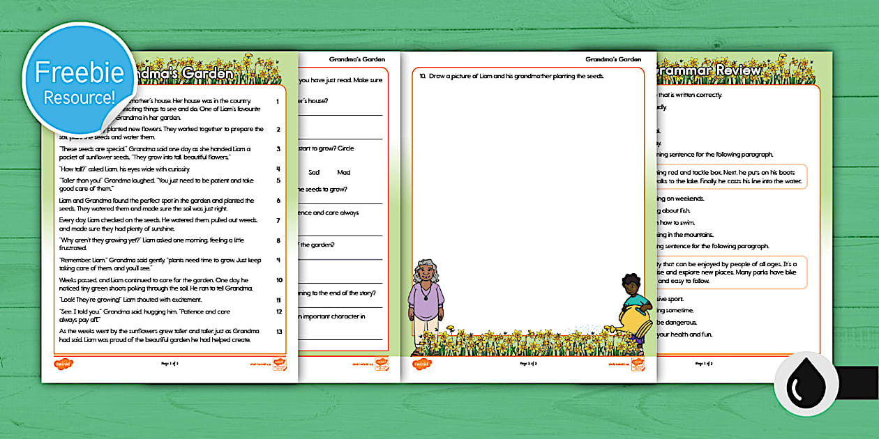 FREE! - EQAO Grade 3 Literacy Prep Worksheet 1 - Twinkl