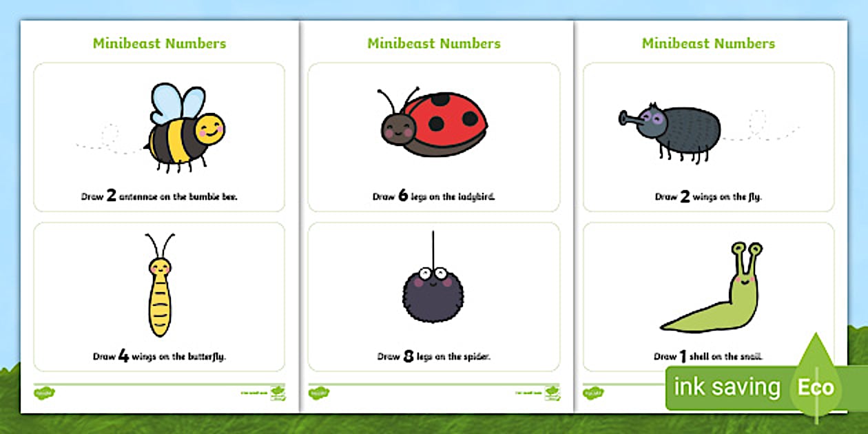 Minibeasts Drawing Number Worksheets (teacher made) - Twinkl
