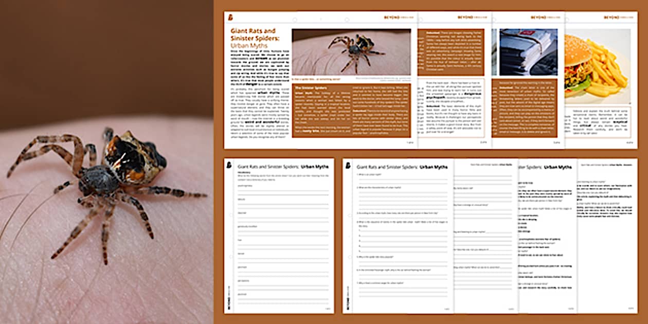 Beyond | Rats and Spiders Reading Comprehension Activity