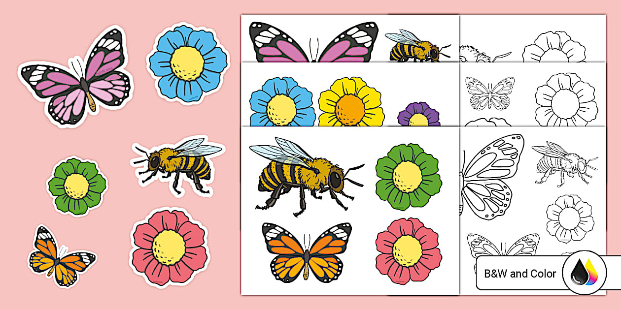 Floral Theme Cutouts (Teacher-Made) - Twinkl