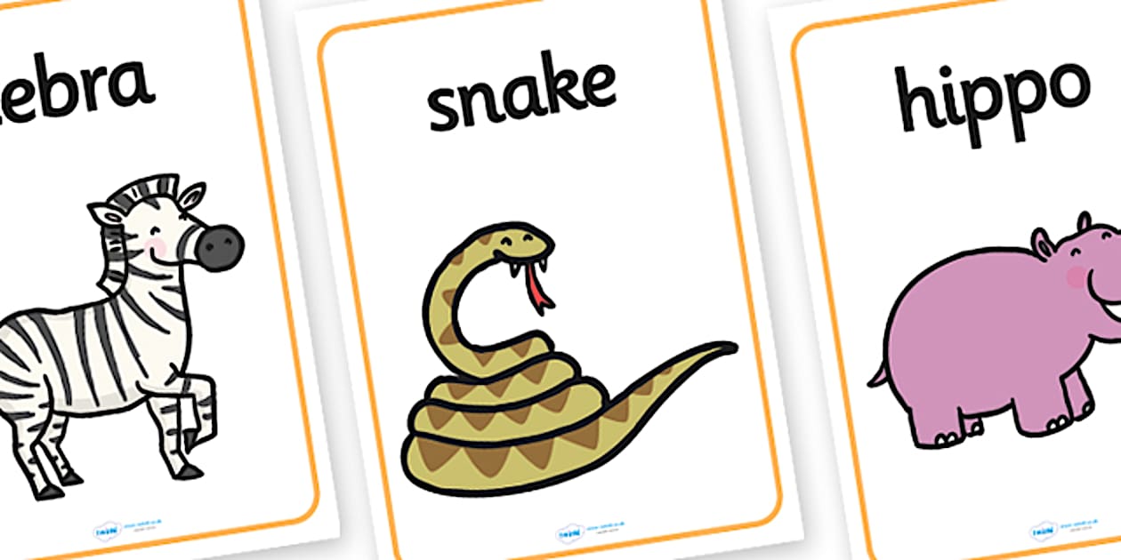 Editable Safari Display Posters (teacher made) - Twinkl