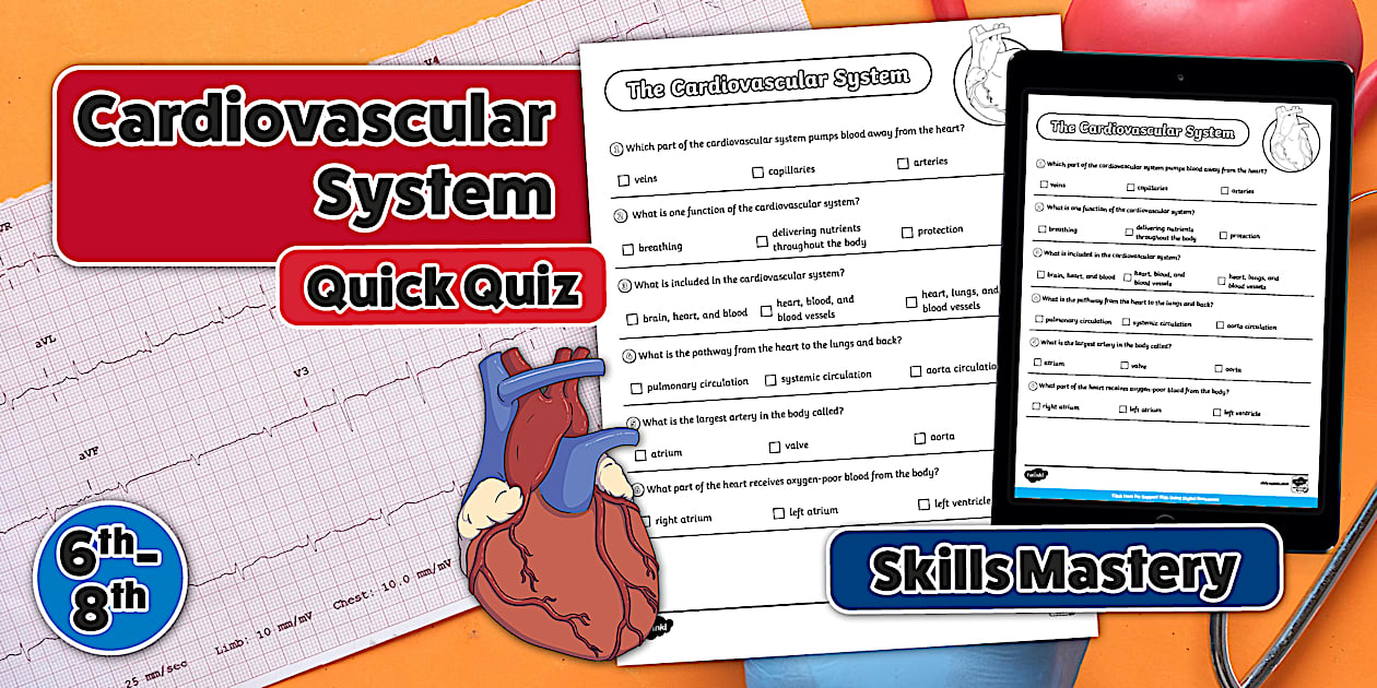 The Cardiovascular System Quick Quiz for 6th-8th Grade
