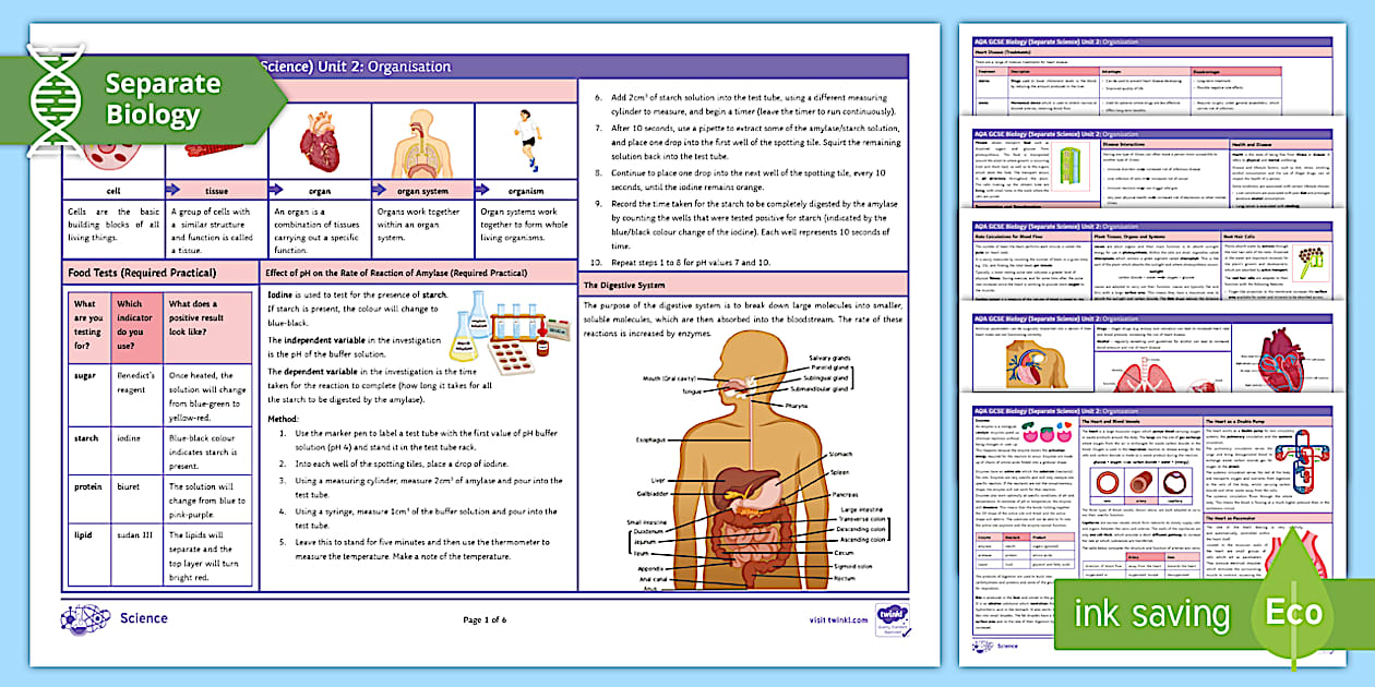 AQA GCSE Biology (Separate) Unit 2 Organization Knowledge Organizer