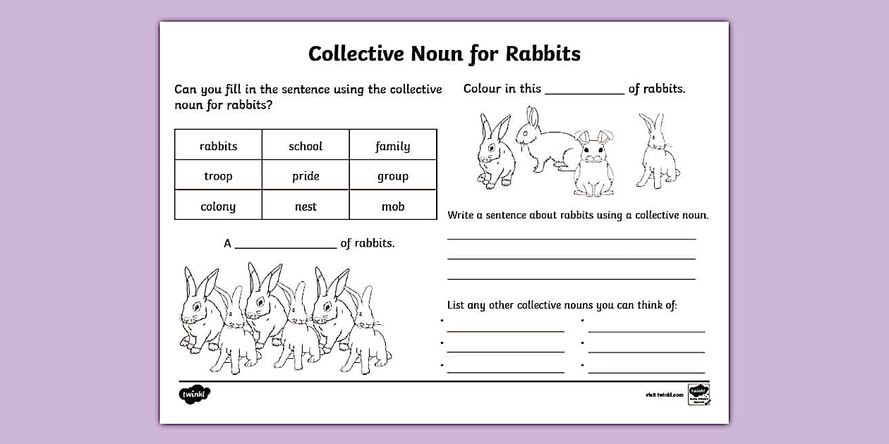 Collective Noun for Rabbits Worksheet - Writing Activity