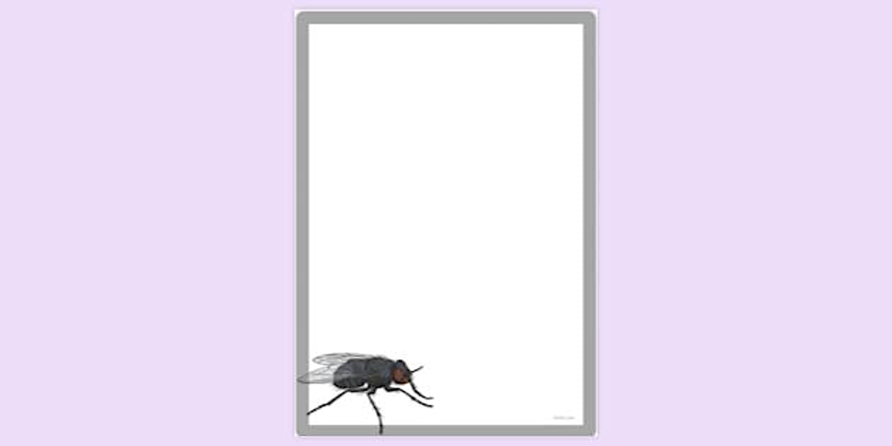 Simple Blank House Fly Page Border | Page Borders | Twinkl