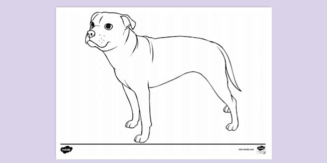 Dog Colouring Page for Children | Colouring Sheets - Twinkl