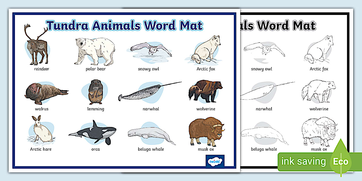 Tundra Animals Word Mat (Teacher-Made) - Twinkl