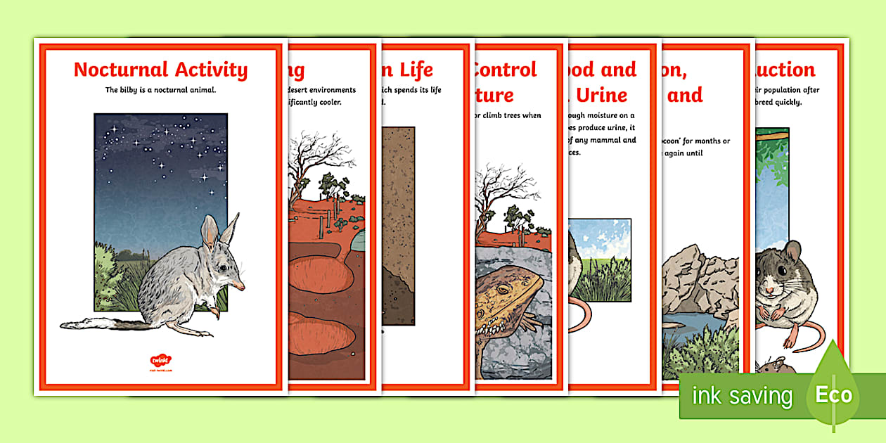 Australian Animal Adaptations Display Posters | Twinkl