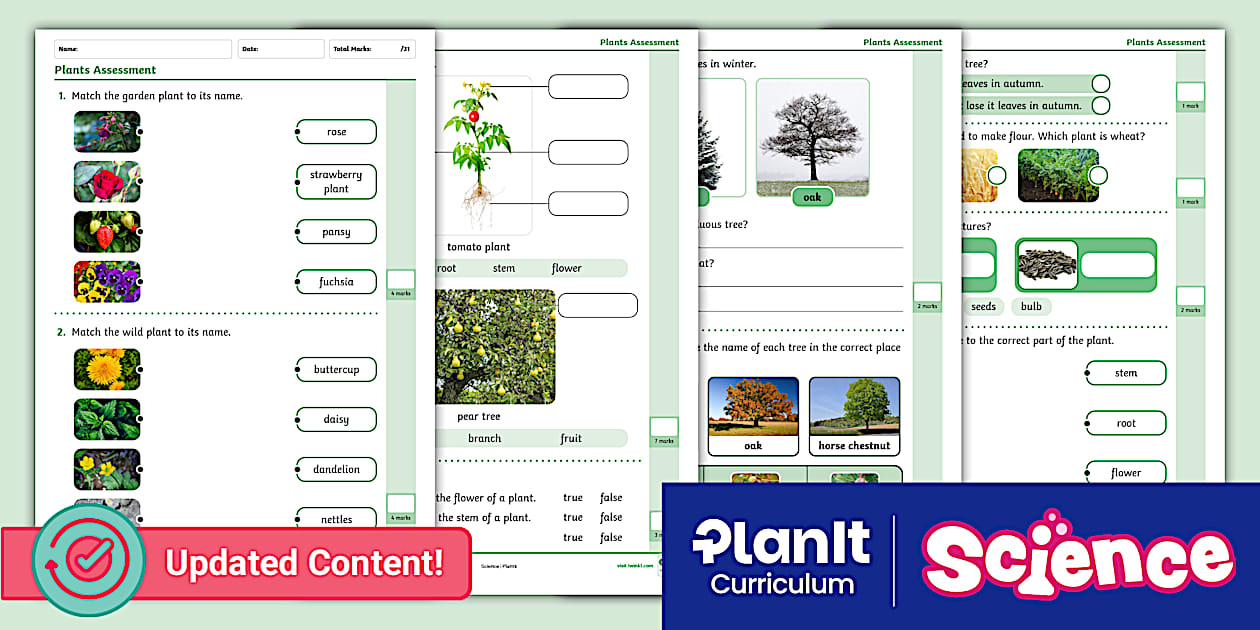 Science: Plants: Assessment Test Year 1