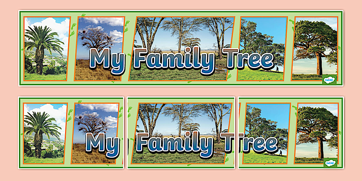 My Family Tree Display Banner (teacher made) - Twinkl