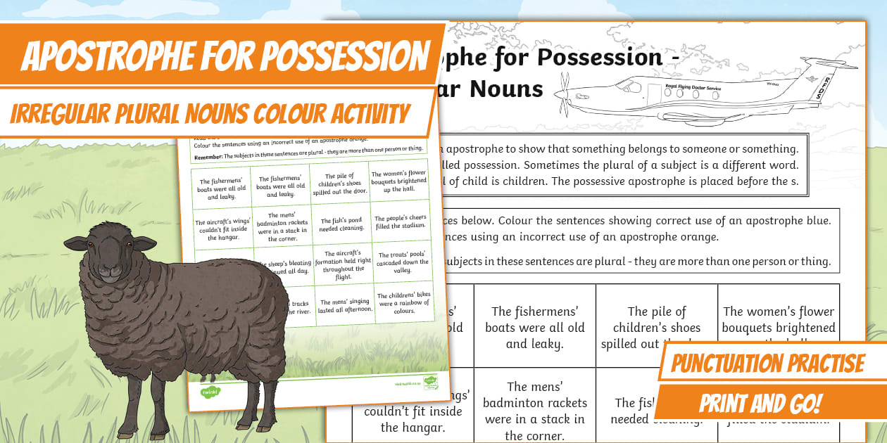 Apostrophe for Possession - Irregular Plural Nouns