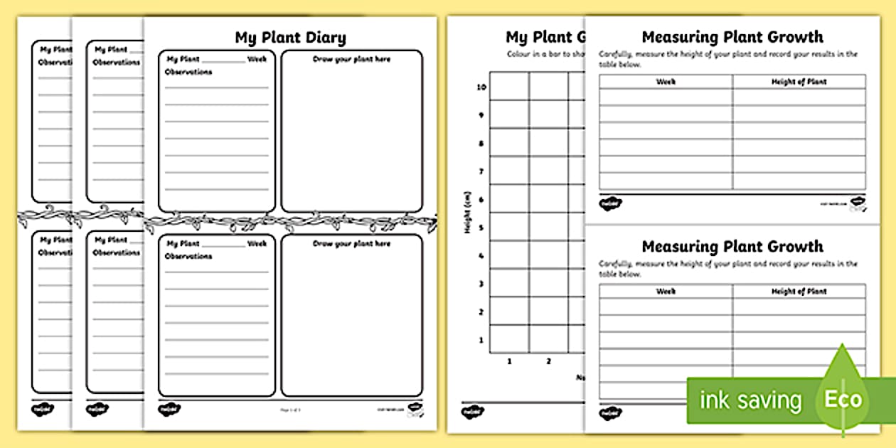 Printable Plant Growth Chart Template Pack | Science