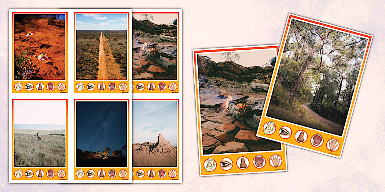 Australian Bush Story Setting Photo Prompt Cards - Twinkl
