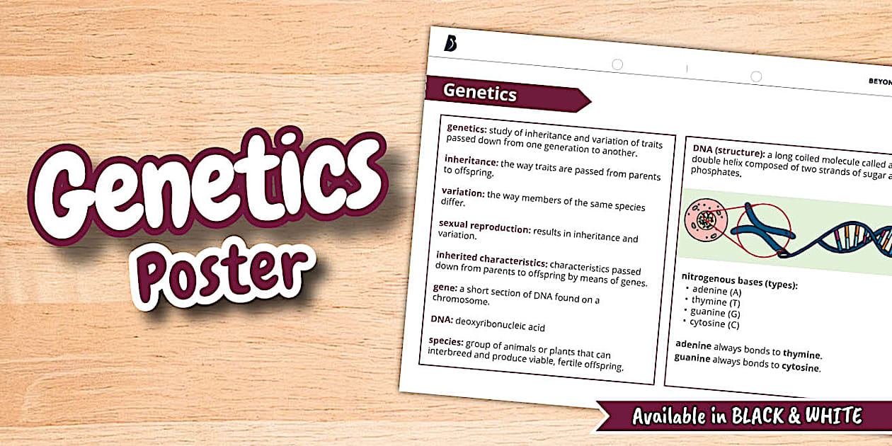 Genetics Poster