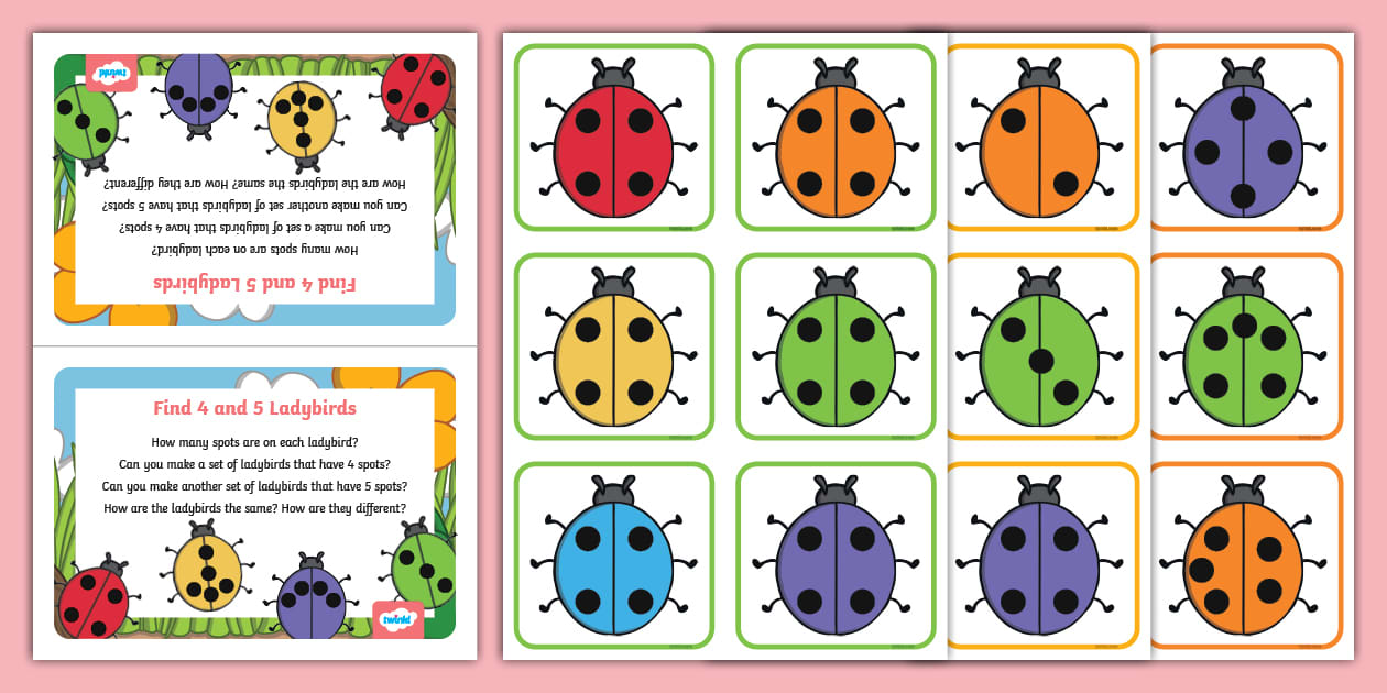 👉 Find 4 and 5 Ladybird Maths Activity | Twinkl - Twinkl