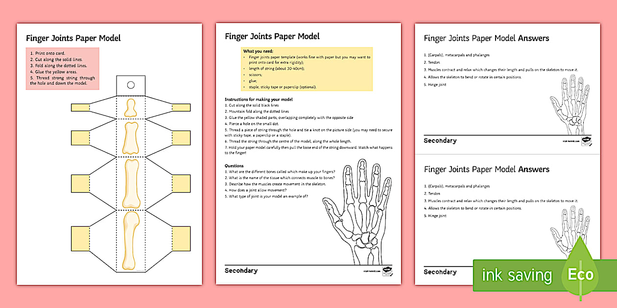 Finger Joints Model Paper Craft - Twinkl